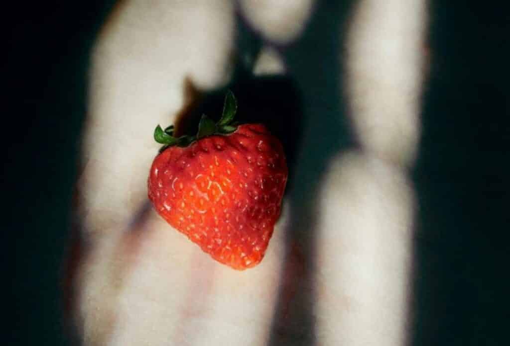 Are The $50 Oishii Omakase Berries Worth the Hype?