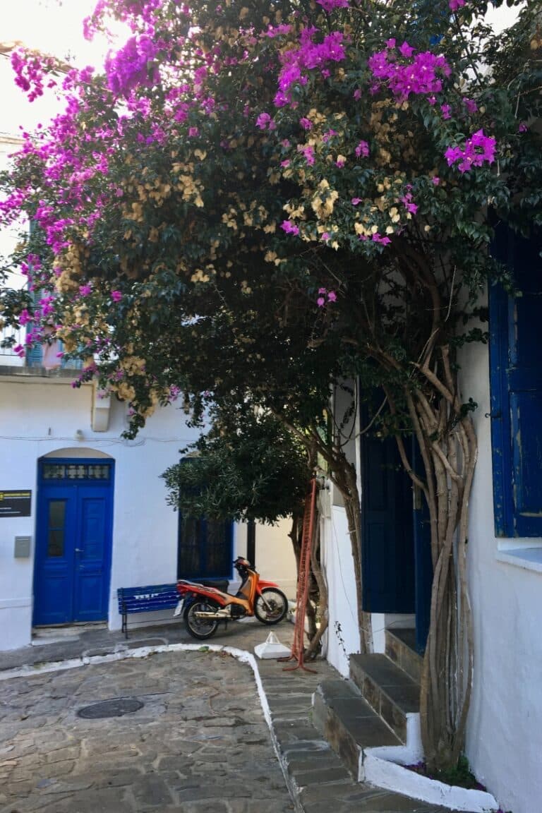 How to Live to 100: Everything to Know About Blue Zones