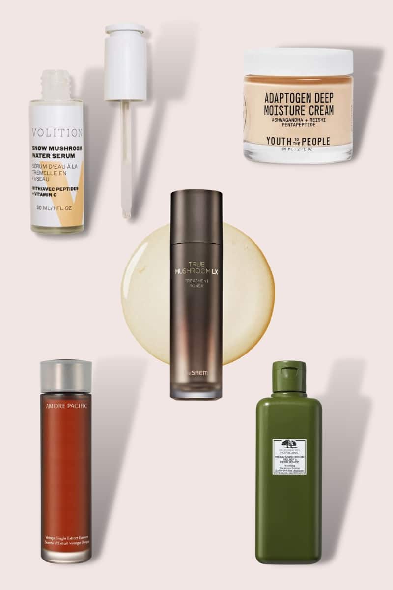 Mushrooms in Skincare: Best Mushroom Skincare Products